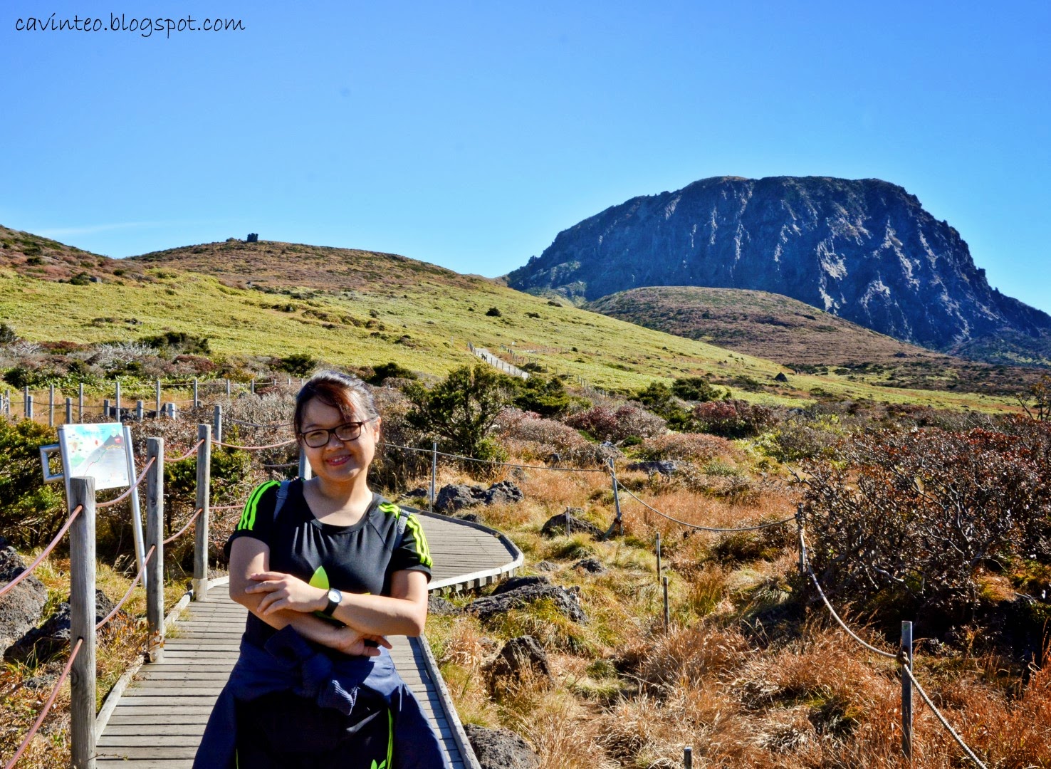 Entree Kibbles: Part 2 of My Mount Halla Hike via Yeongsil Trail @ Jeju ...